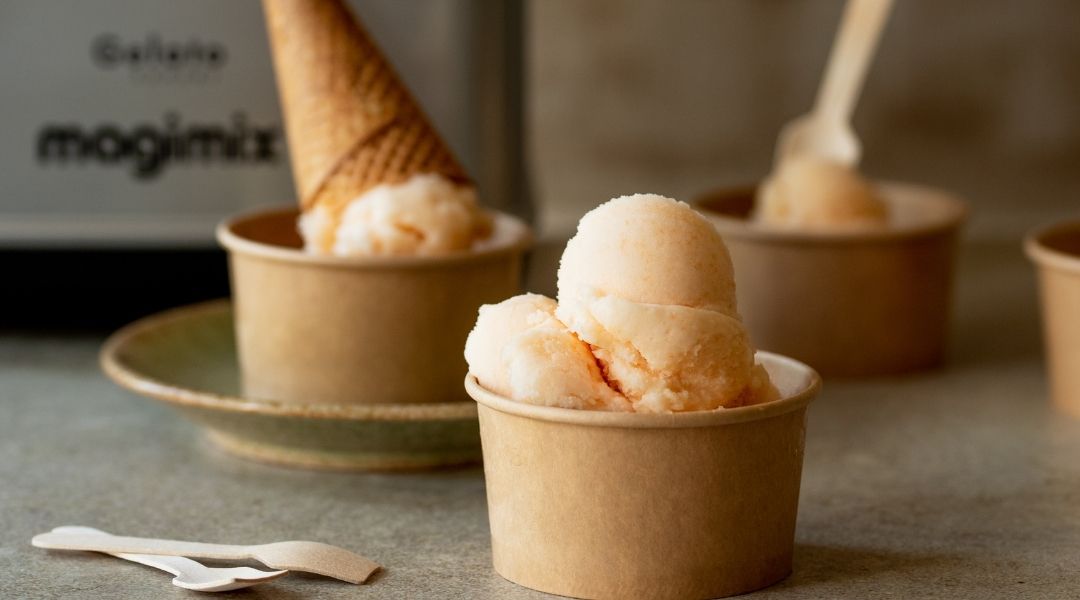 Sorbet au melon - Recette MAGIMIX